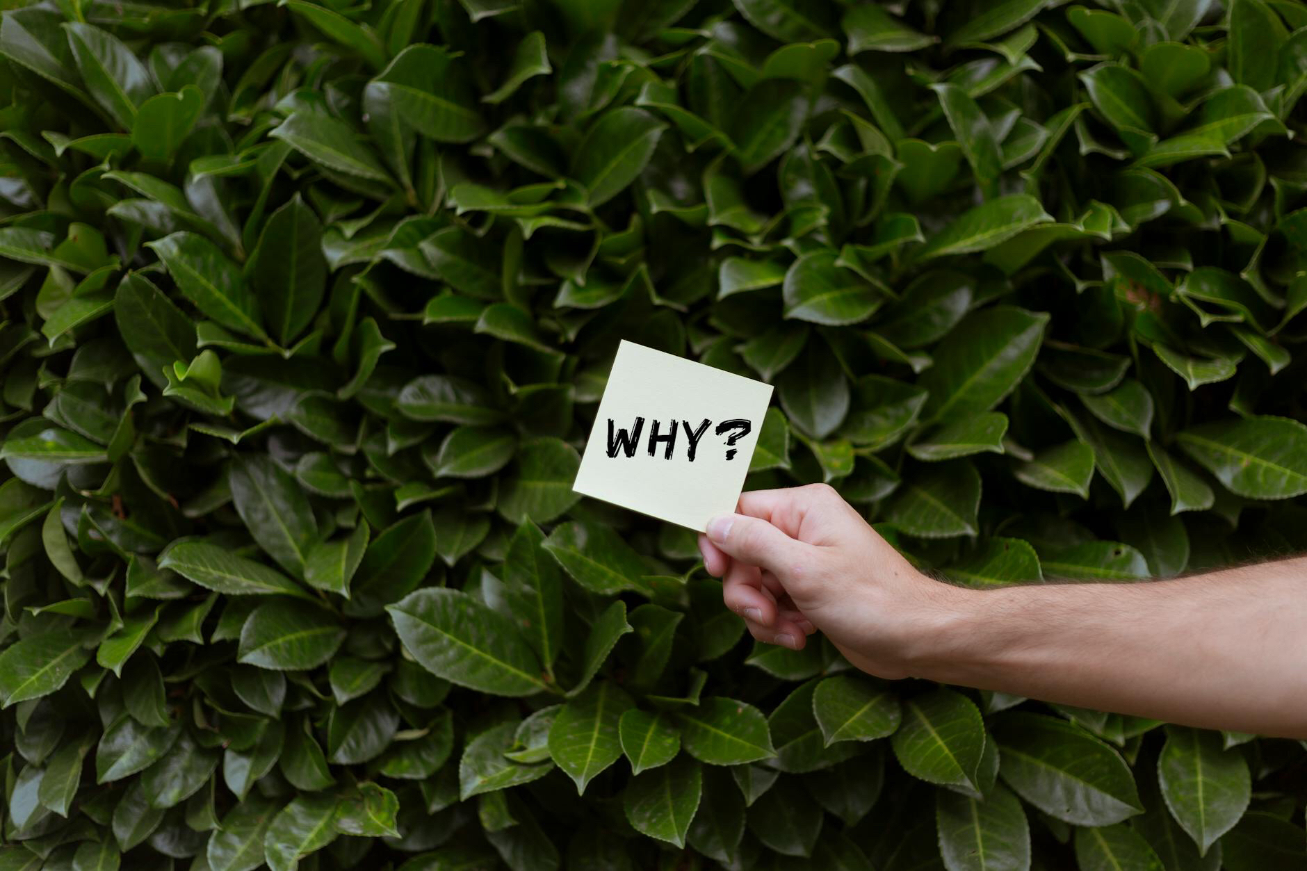 Find your why? – PASSIONAustralia.blog